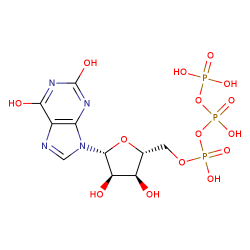 Xanthosine Triphosphate Wikipedia